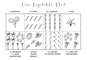 Our Vegetable Garden Plan - April Everyday