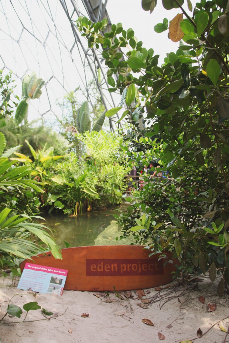 Eden Project Part 1 - The Rainforest Biome - April Everyday