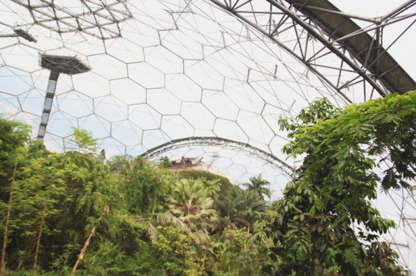 Eden Project Part 1 - The Rainforest Biome - April Everyday