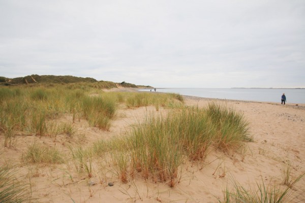 Sandscale Haws Nature Reserve - The Lake District - April Everyday