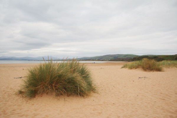 Sandscale Haws Nature Reserve - The Lake District - April Everyday