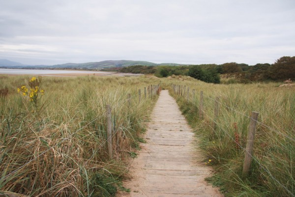 Sandscale Haws Nature Reserve - The Lake District - April Everyday