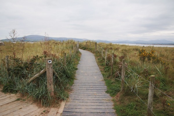 Sandscale Haws Nature Reserve - The Lake District - April Everyday