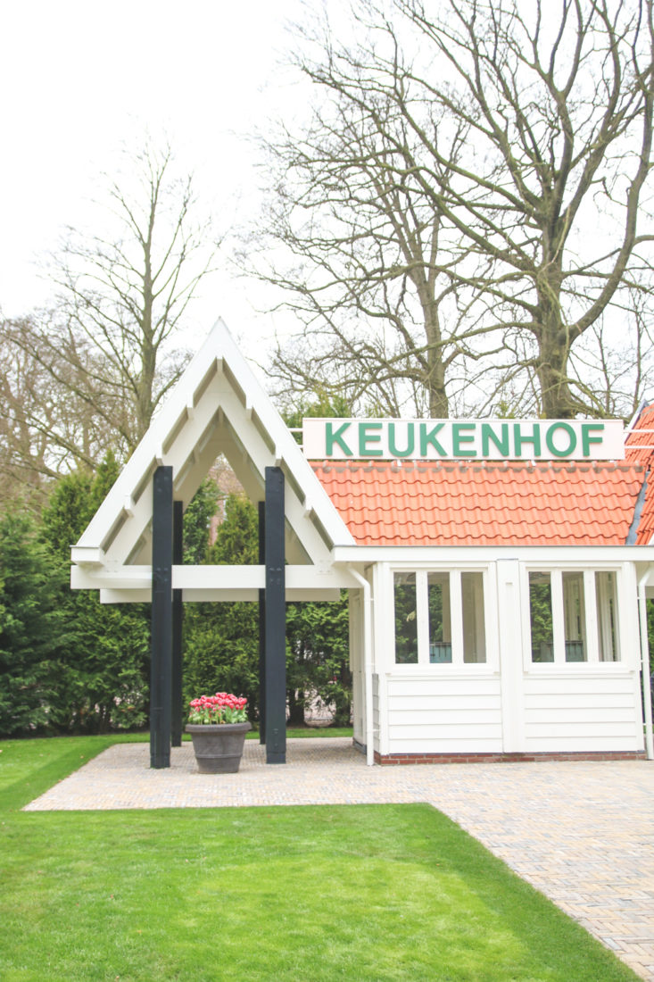 Seeing The Spring Flowers at Keukenhof Gardens - April Everyday